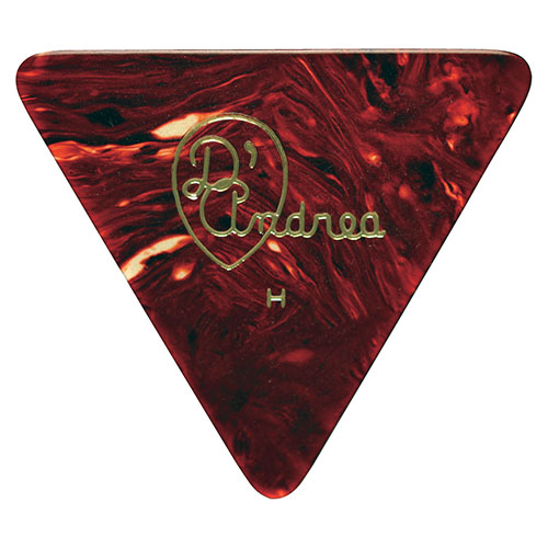 355 Shape | Shell Celluloid – D'Andrea USA